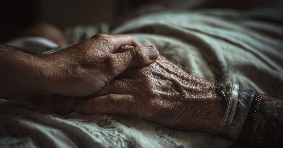 Caring Touch: The Healing Power of Human Connection in Senior Care